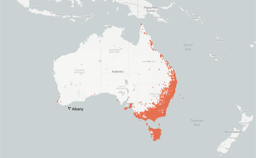Ringtail Possums – Petit Paradis